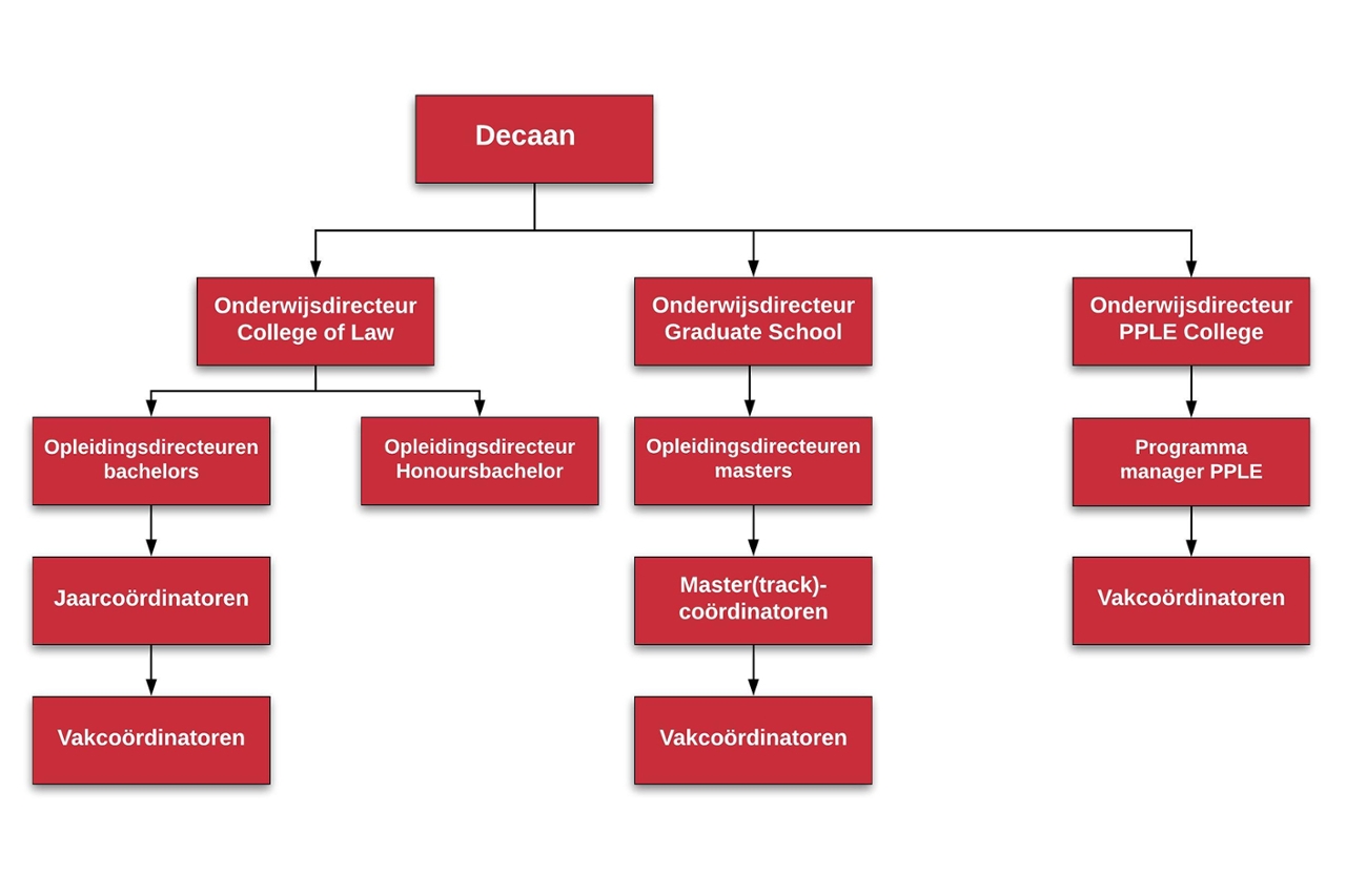 Organisation of the Amsterdam Law School - University of Amsterdam