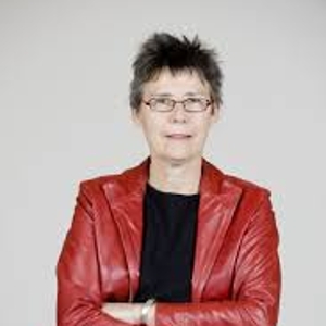 Prof. M. (Mies) Westerveld - University of Amsterdam