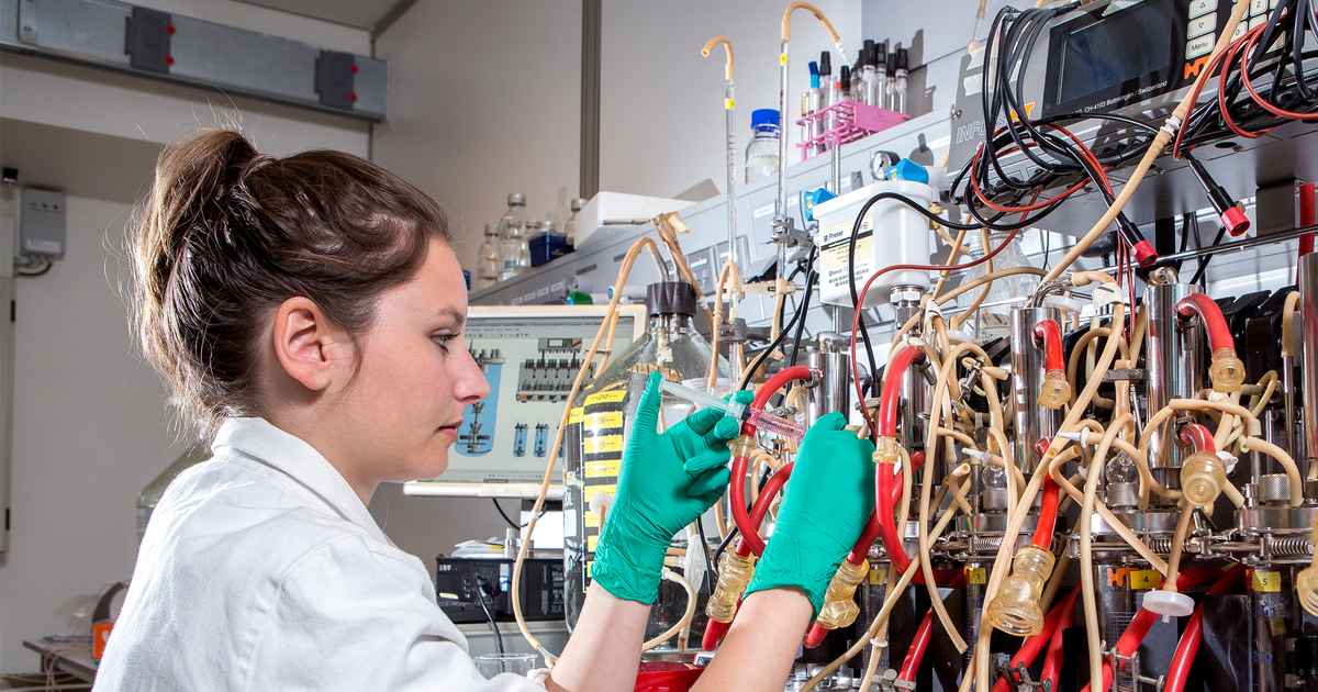 Master Biomedical Sciences: Medical Biology tracks - Universiteit van ...