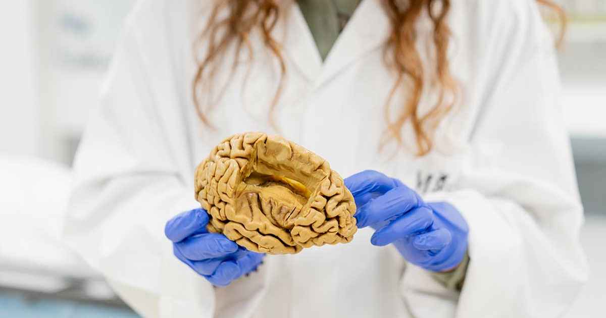 Master Geneeskunde - Universiteit van Amsterdam