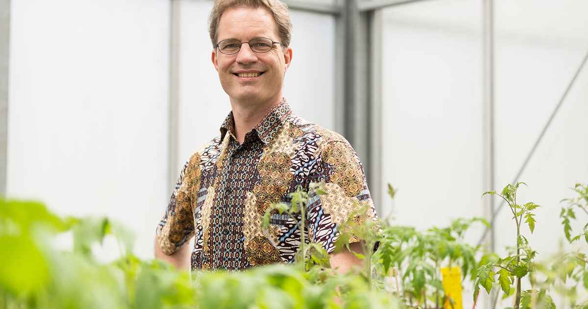 Martijn Rep, hoogleraar Fytopathologie - Universiteit van Amsterdam