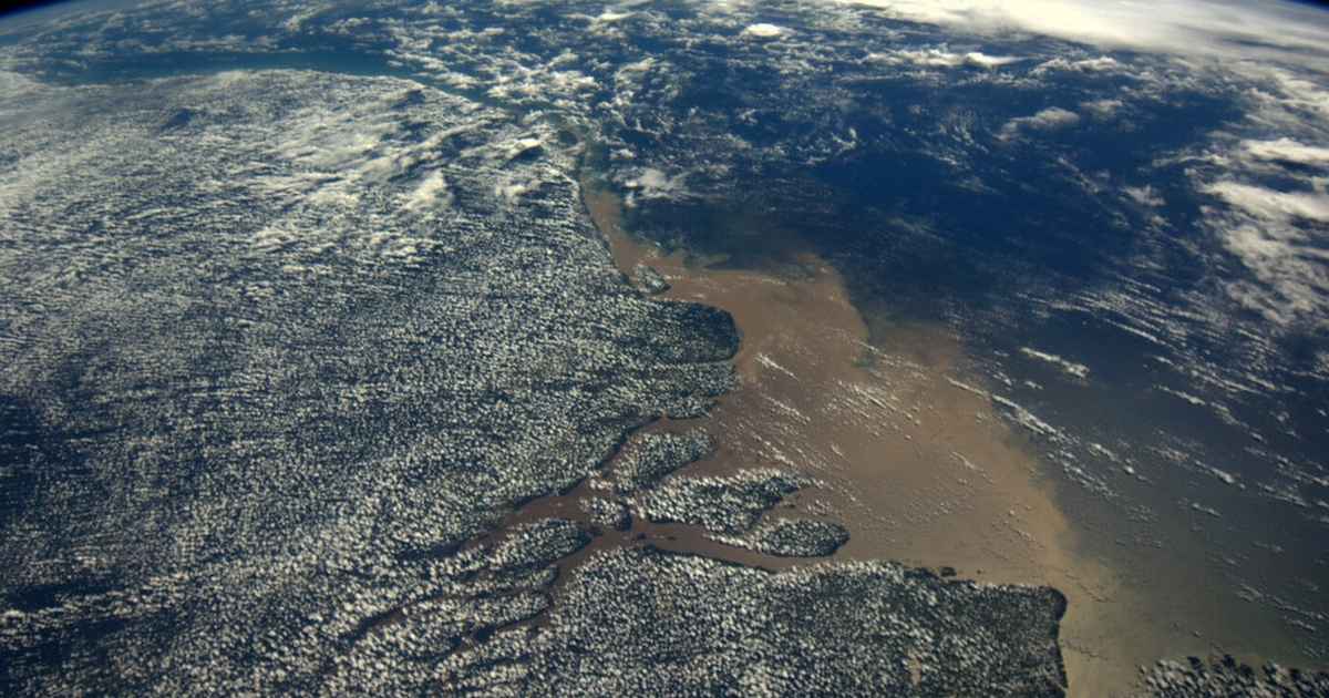 Amazone rivier minstens 9 miljoen jaar oud - Universiteit van Amsterdam