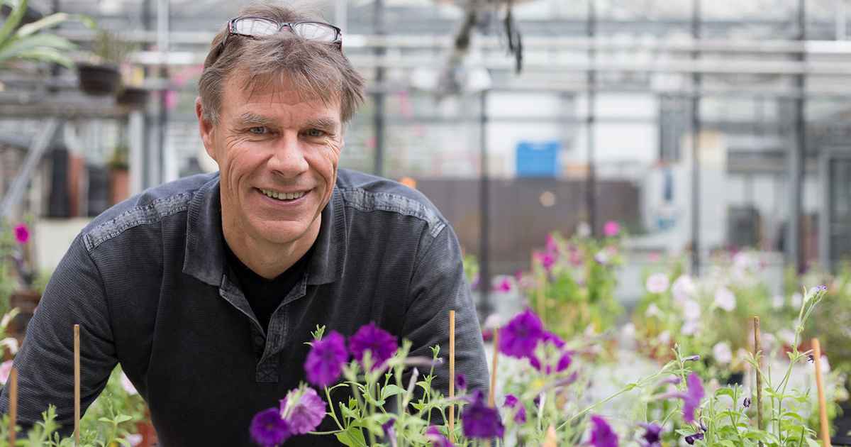 Ronald Koes, professor of Developmental Genetics - Universiteit van ...