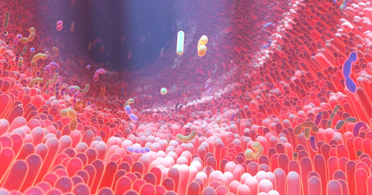 Samenstelling microbioom heeft invloed op depressie - Universiteit van ...