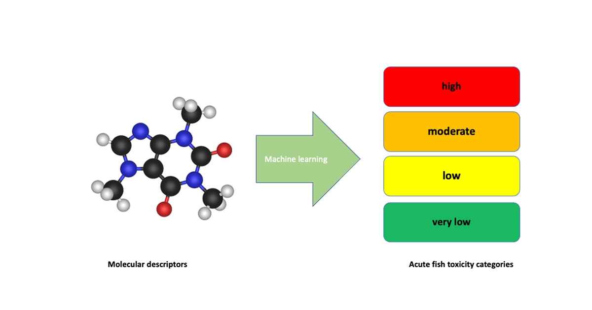 Using machine learning to improve the toxicity assessment of chemicals ...