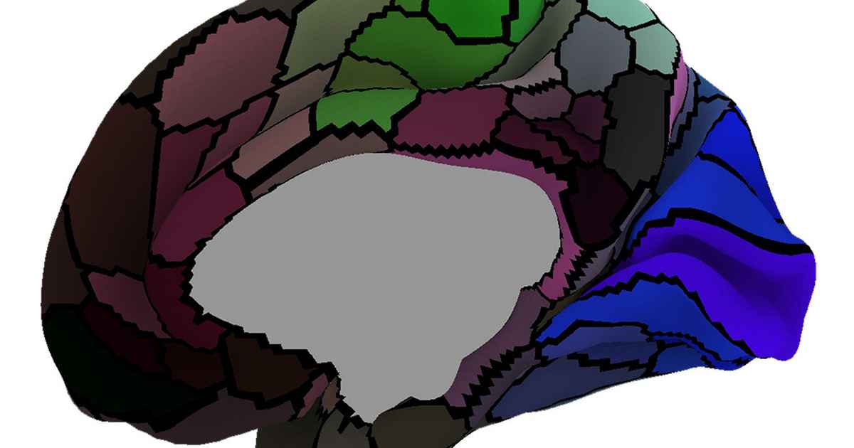 How do you uncover the innermost part of the brain? - University of ...