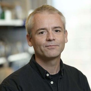 Dr. A.L. (Thijs) van Boxtel - University of Amsterdam