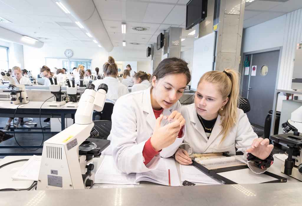 Minor Molecular Life Sciences - University of Amsterdam