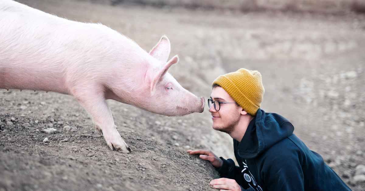 Dier-Mens Studies - Universiteit van Amsterdam