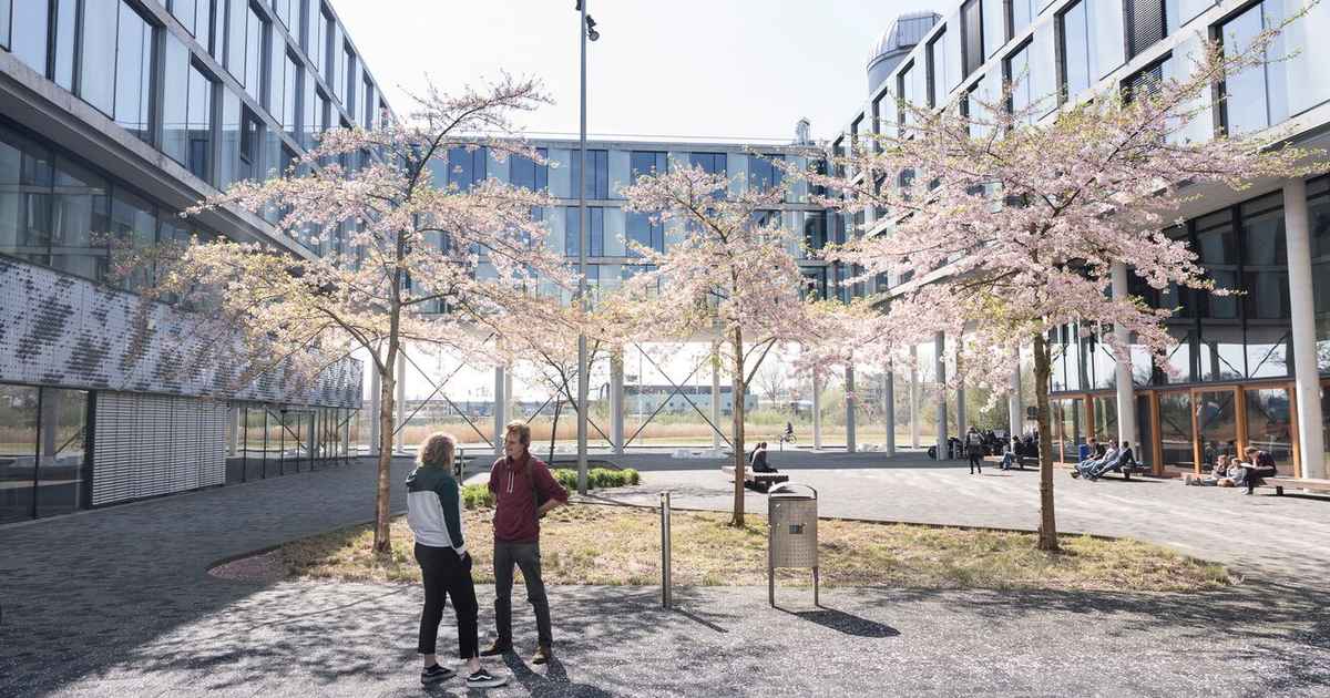 Contact - Exchange programme Science - University of Amsterdam