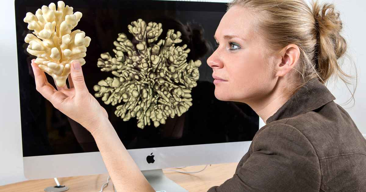 Master Computational Science (joint degree UvA/VU) - Universiteit van Amsterdam