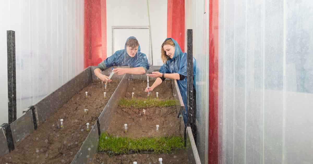 Environmental Management (Earth Sciences) - Universiteit van Amsterdam