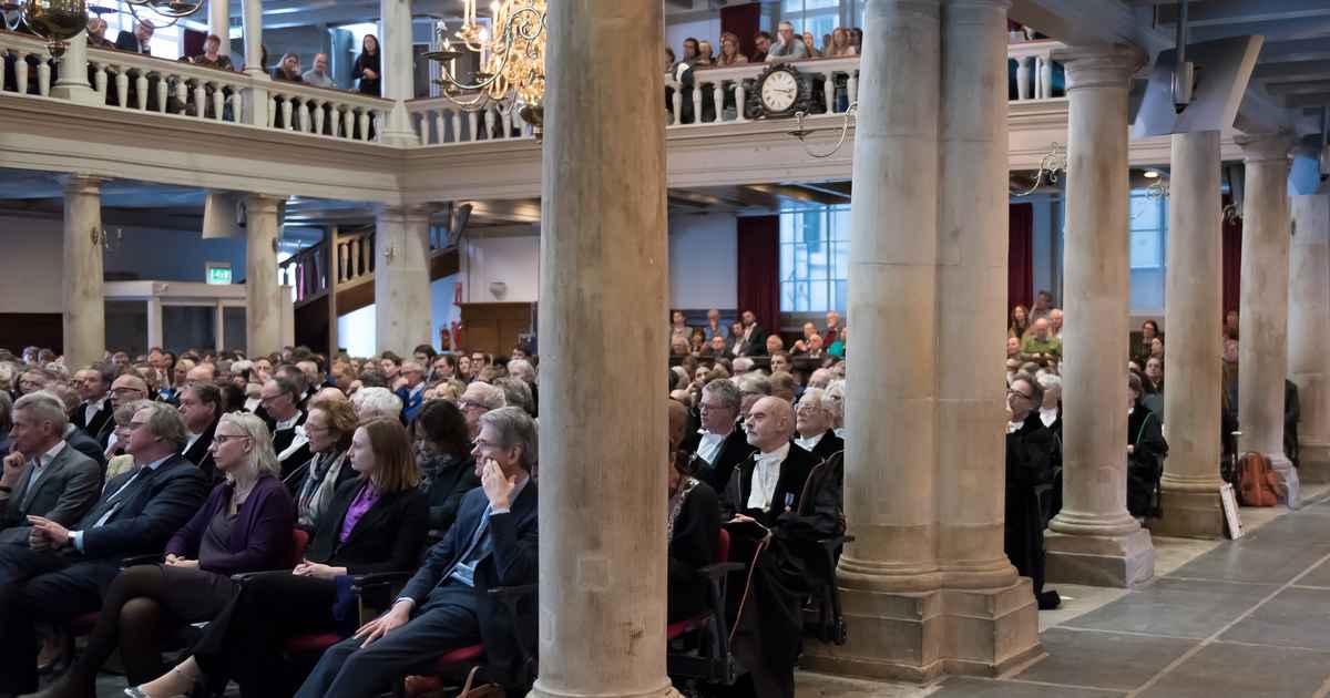 University Professors - University of Amsterdam