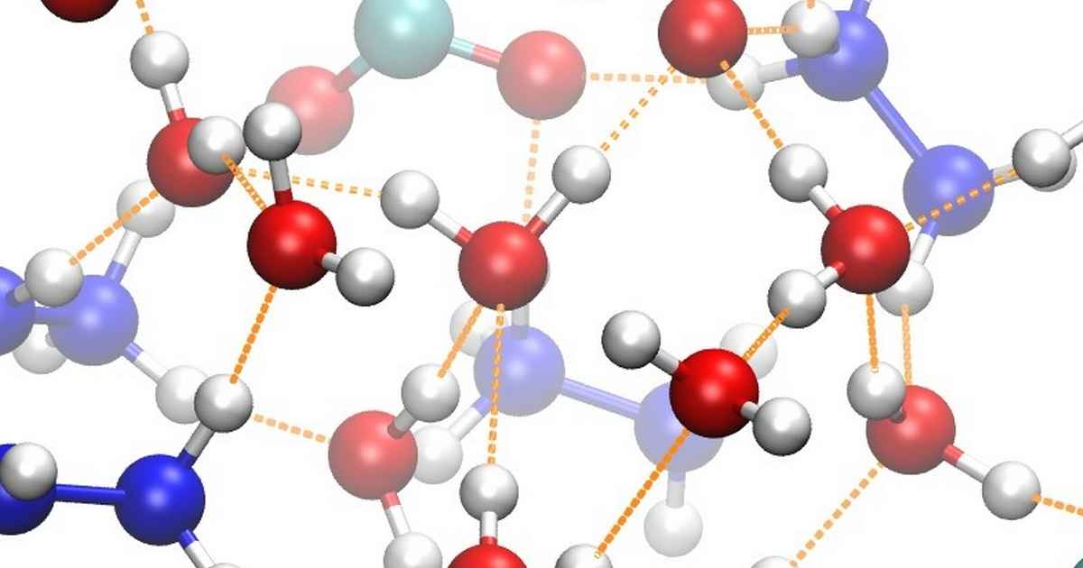 Amsterdams-Amerikaans experiment wijst op bestaan van twee soorten ...