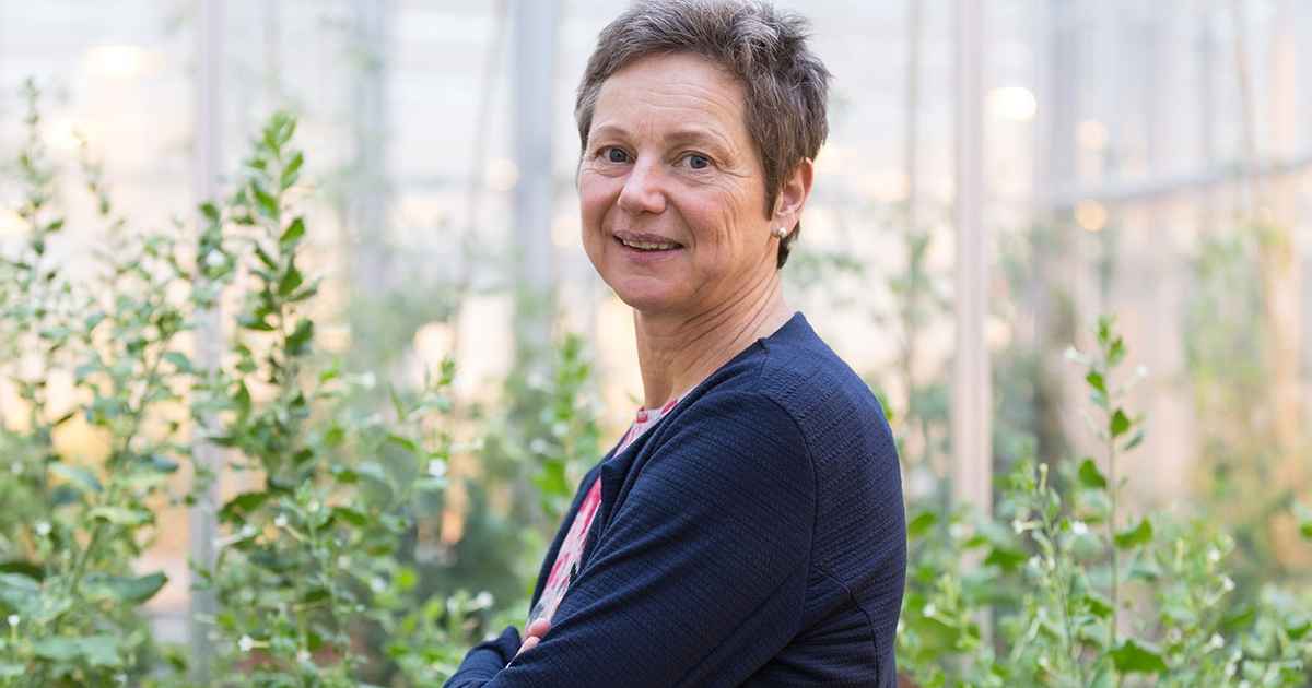 Astrid Groot, hoogleraar Population and Evolutionary Biology - Universiteit van Amsterdam