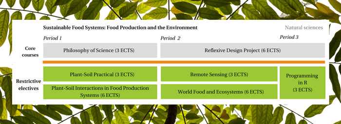 Minor Sustainable Food Systems - University of Amsterdam
