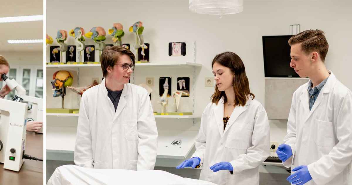 Schakelprogramma Geneeskunde (premaster) - Universiteit van Amsterdam
