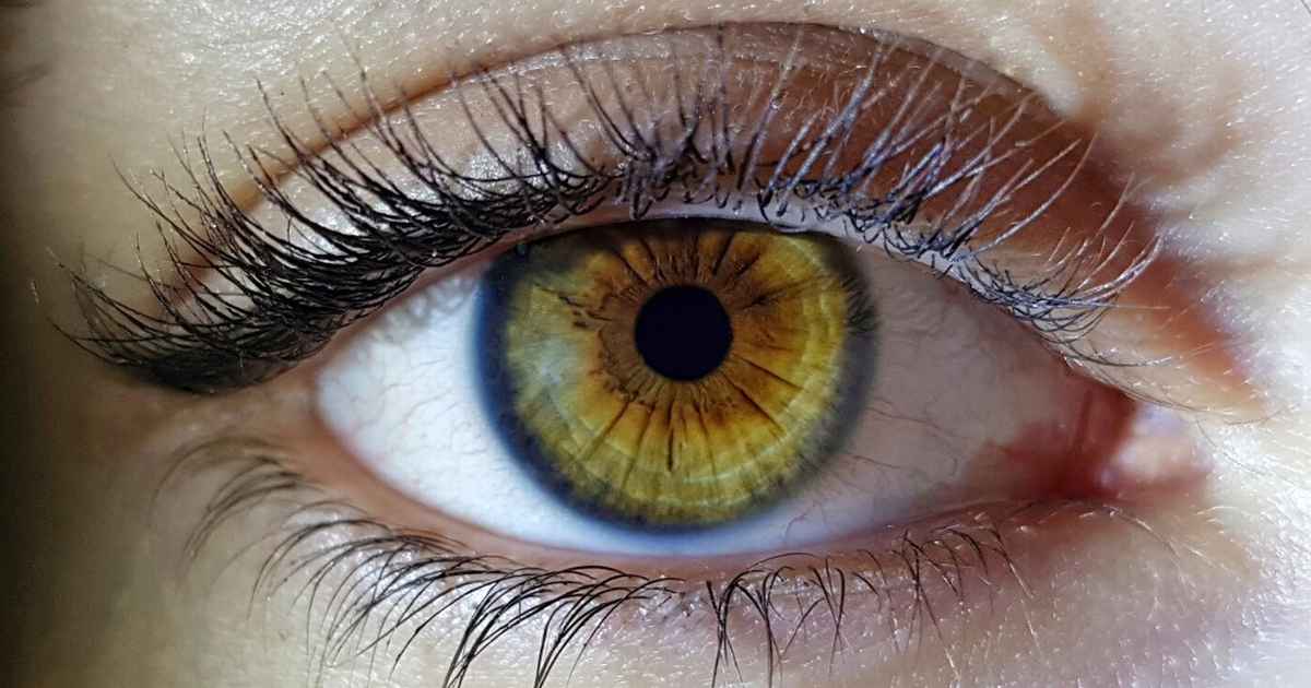People with constricted pupils and larger irises more attractive ...
