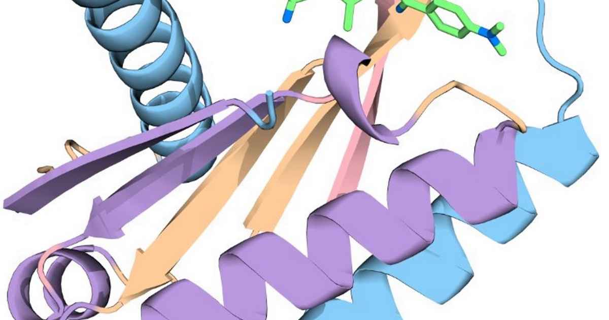 New research project using generative AI for novel enzyme design ...