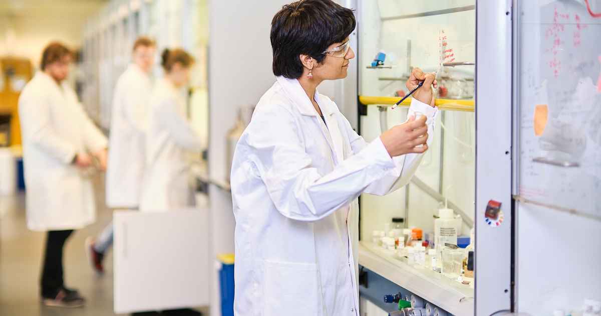 Open days & events - Bachelor's Liberal Arts and Sciences (Amsterdam ...