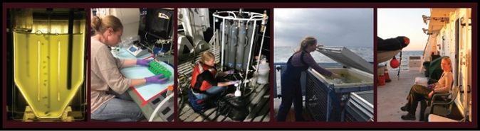 Dr. S. (Susanne) Wilken - University of Amsterdam